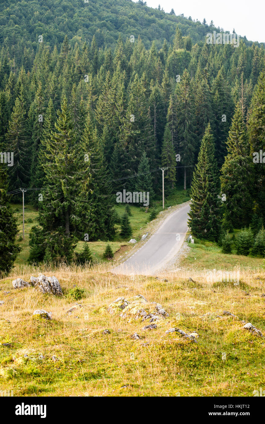 Winding country Road with clouds above and dry tarmac Stock Photo - Alamy