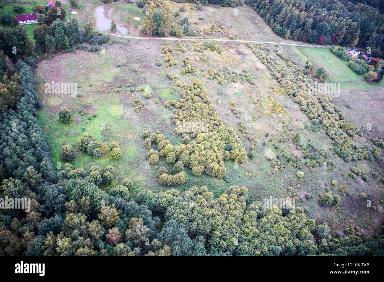 forests and fields from above Stock Photo - Alamy