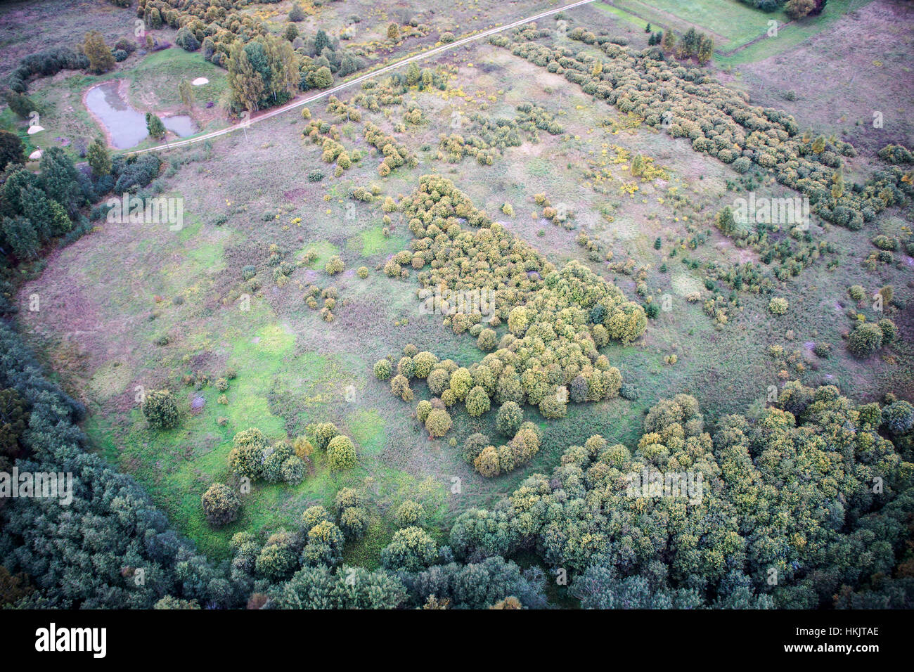 forests and fields from above Stock Photo - Alamy