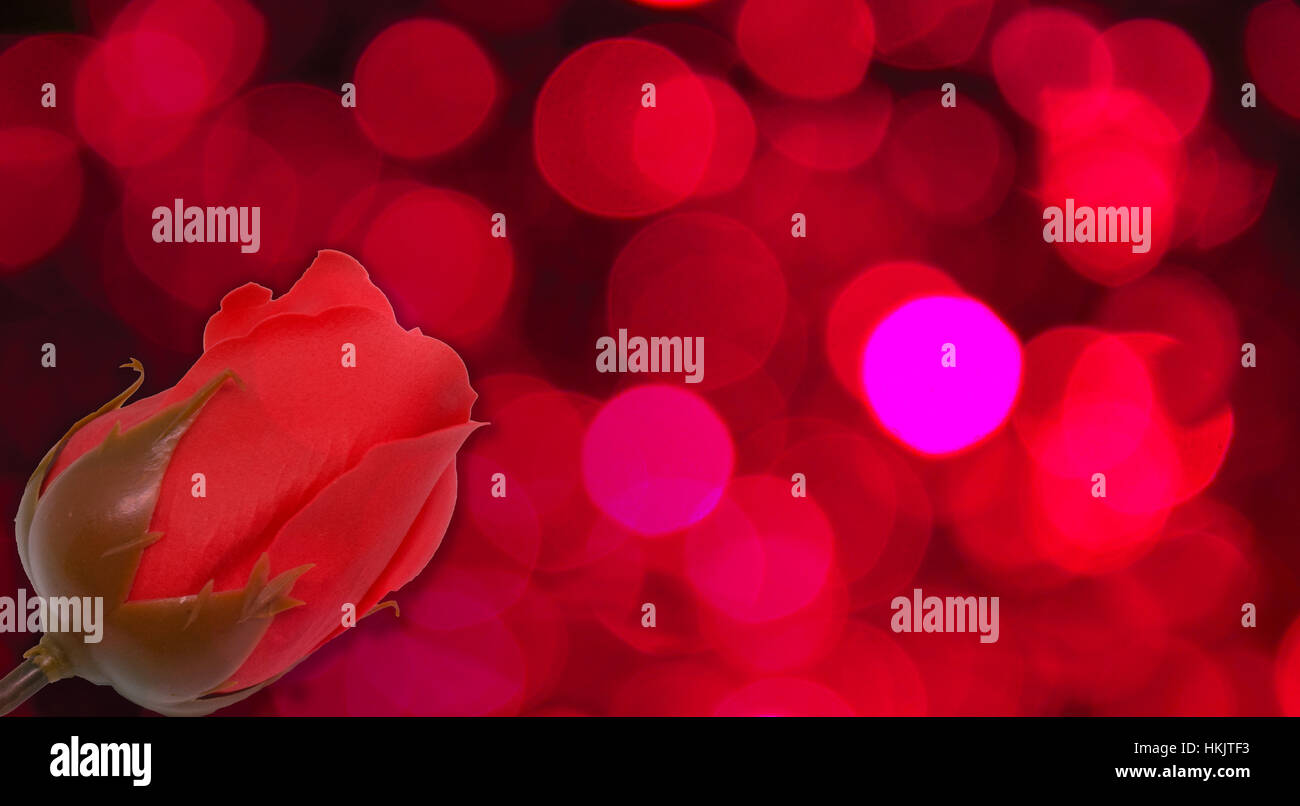 Engagement card hi-res stock photography and images - Alamy