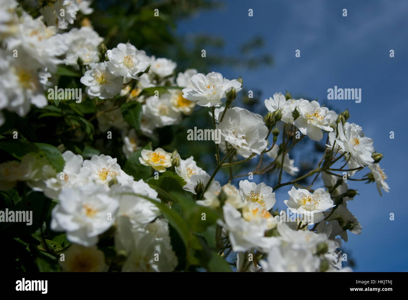 English climbing centre hi-res stock photography and images - Alamy