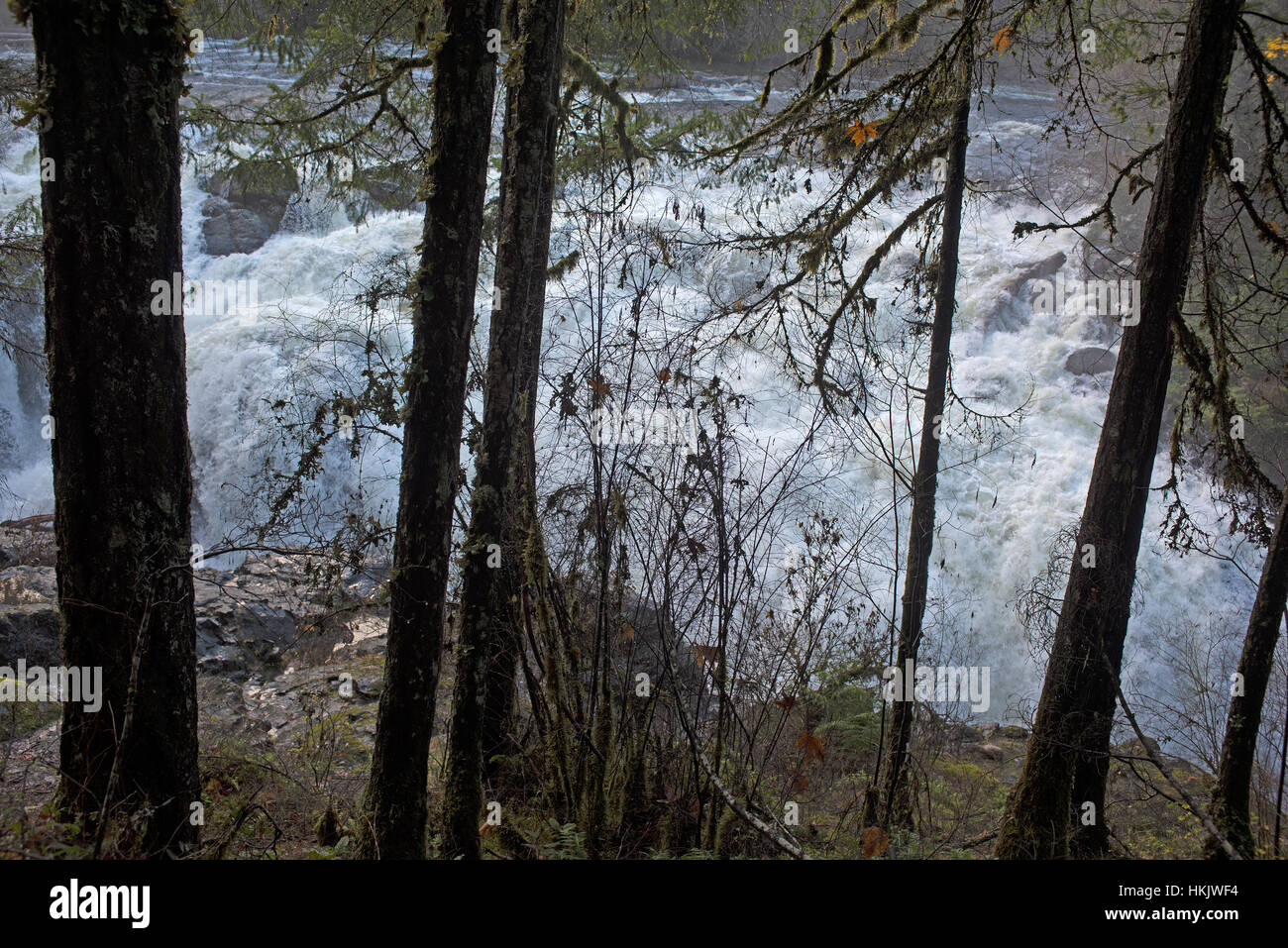 Englishman River Falls Provincial Park near Parksvill, Vancouver Island ...