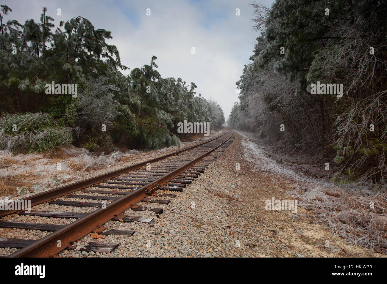 Railroad tracks winding through a forest just after an ice storm Stock ...