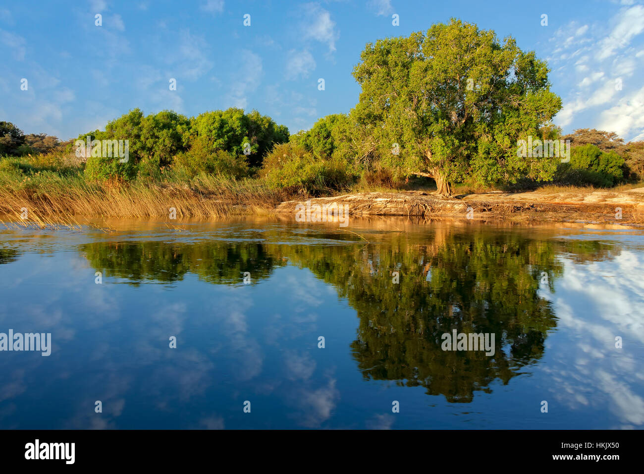 Trees and clouds reflected in the water of the Zambezi river, Namibia ...