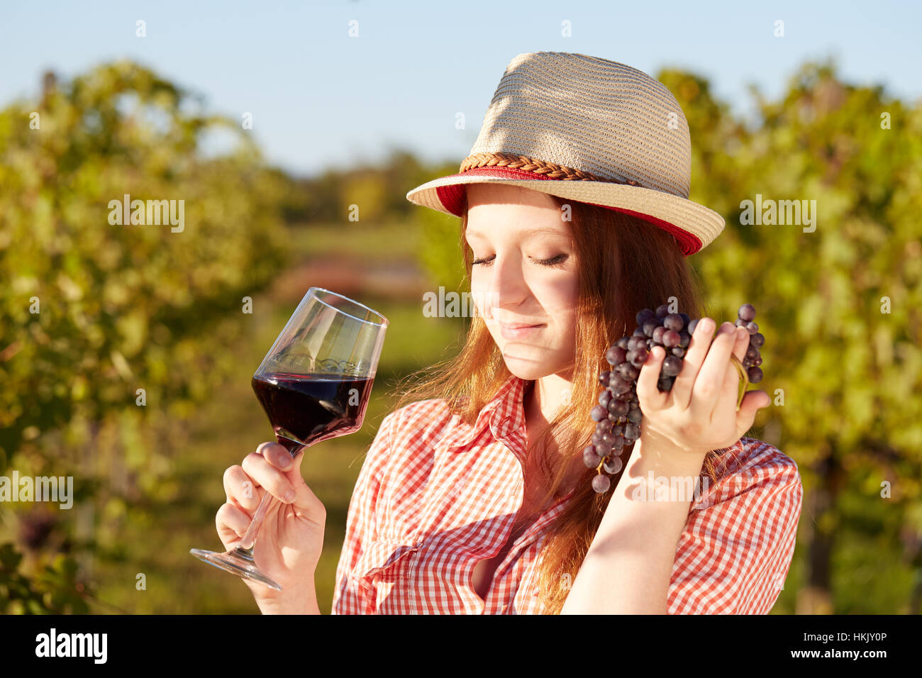 woman taste vine in vineyard Stock Photo - Alamy