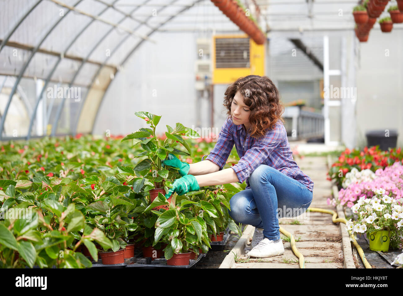 pretty female nursery worker portrait Stock Photo - Alamy