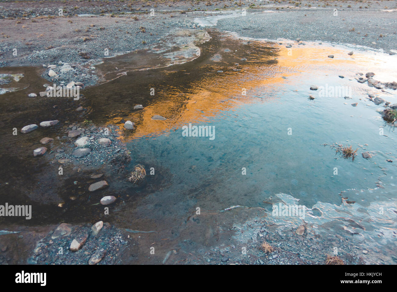 Dark pond with plants and reflections hi-res stock photography and ...