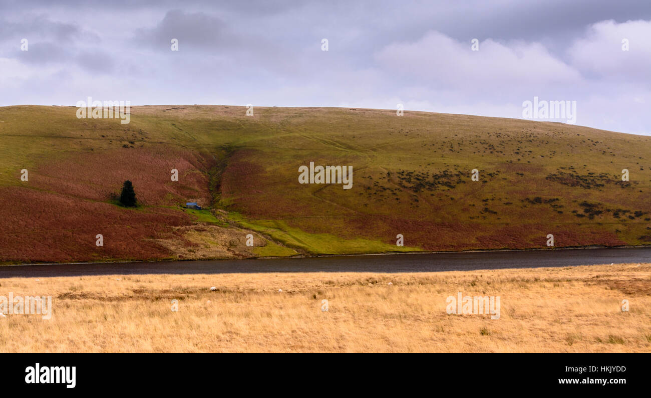 The wide open spaces of mid-wales where people are few and far between ...