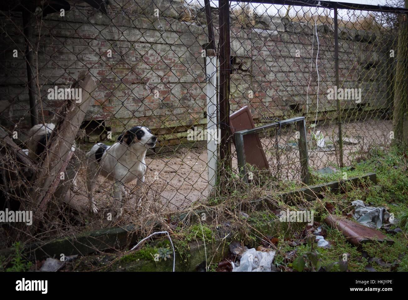 World war poverty in poland hi-res stock photography and images - Alamy