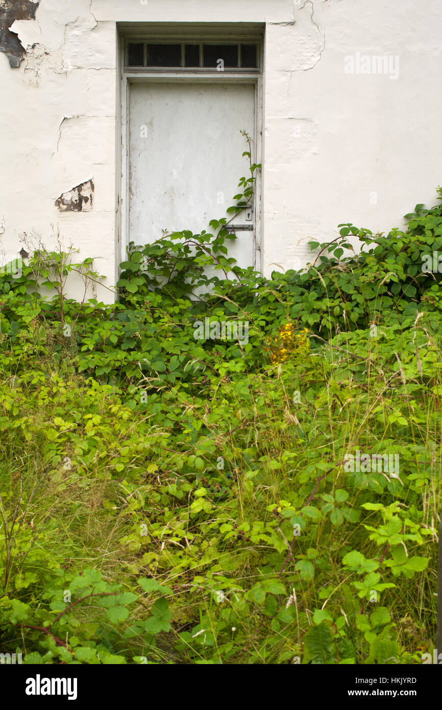 Overgrown Garden Front Door Stock Photo - Alamy