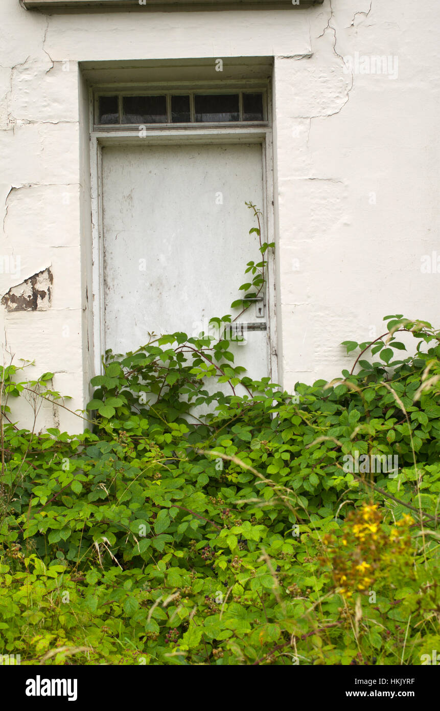 Overgrown Garden Front Door Stock Photo - Alamy