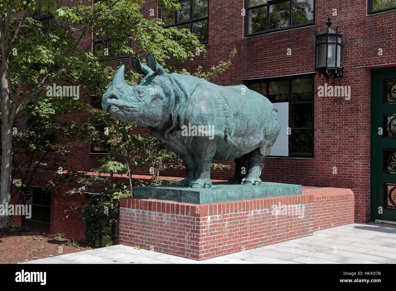 Rhinoceros sculptures outside the Bio Labs Building, Harvard Biology ...