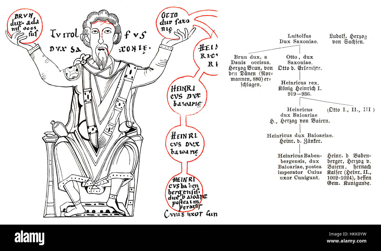 Genealogical family tree of The Liudolfinger or Ottonian dynasty Stock ...