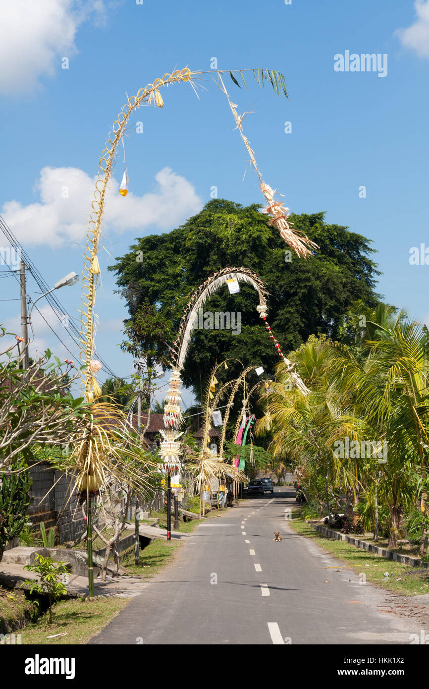 Galungan bali penjor hi-res stock photography and images - Alamy