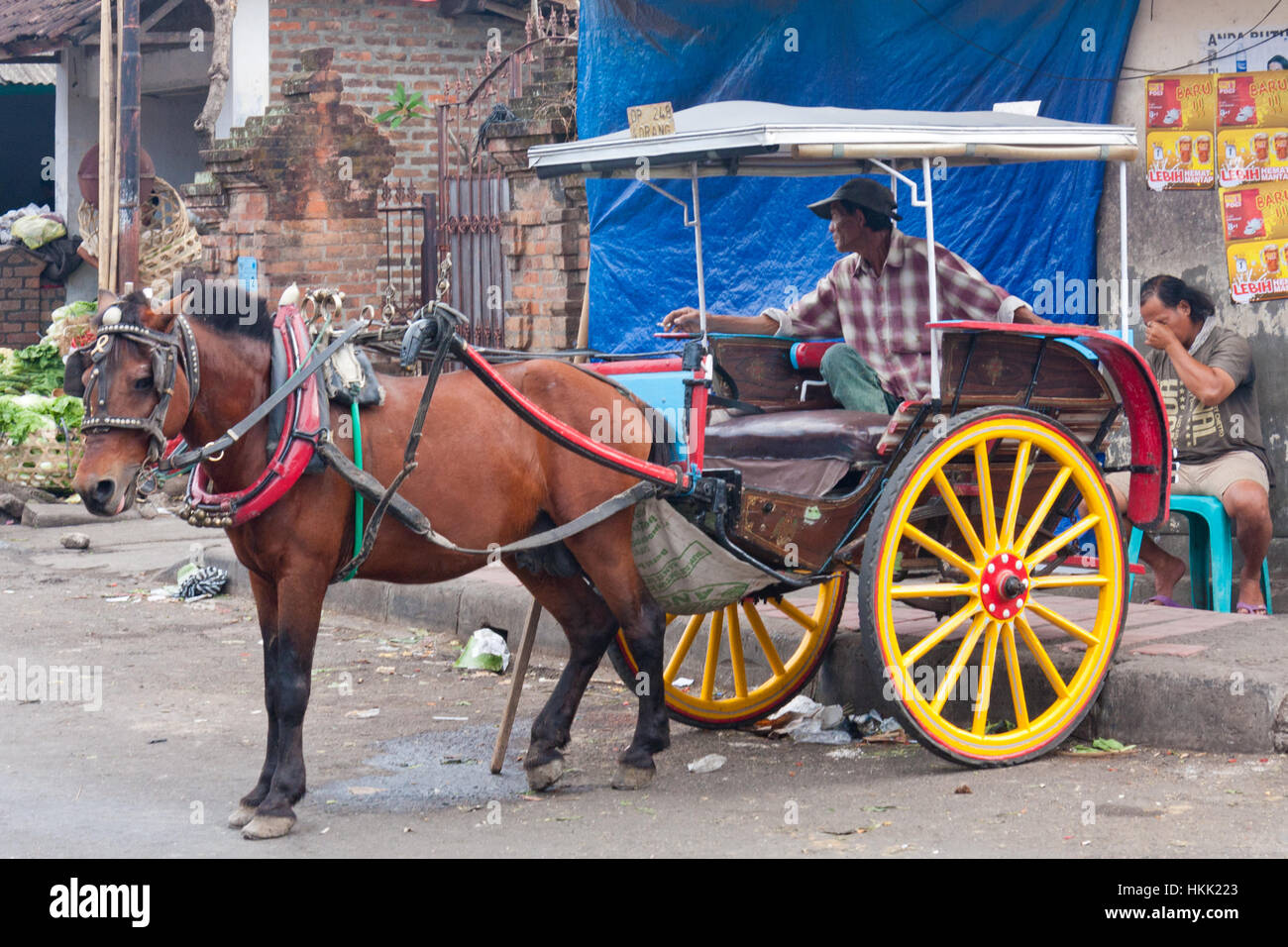 Bali pony hi-res stock photography and images - Alamy