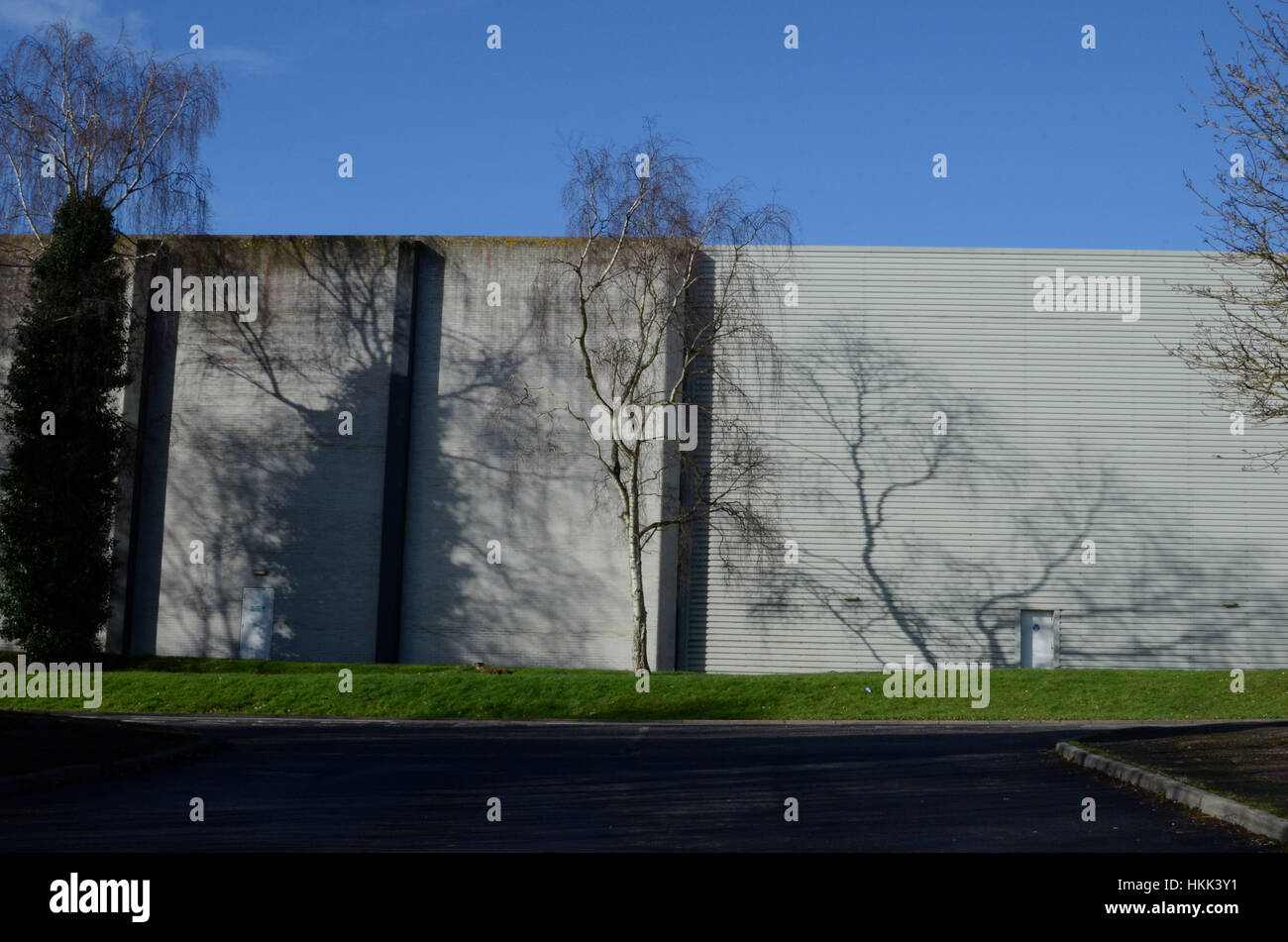 Abstract tree in urban landscape, Exeter, Devon Stock Photo - Alamy