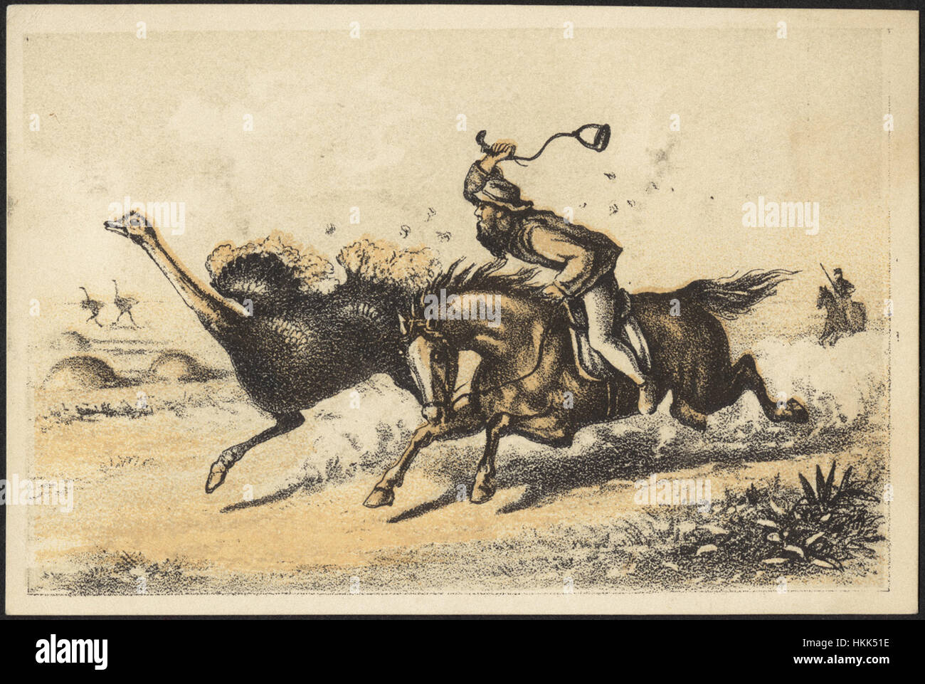 Man on horseback hunting ostrich Stock Photo - Alamy
