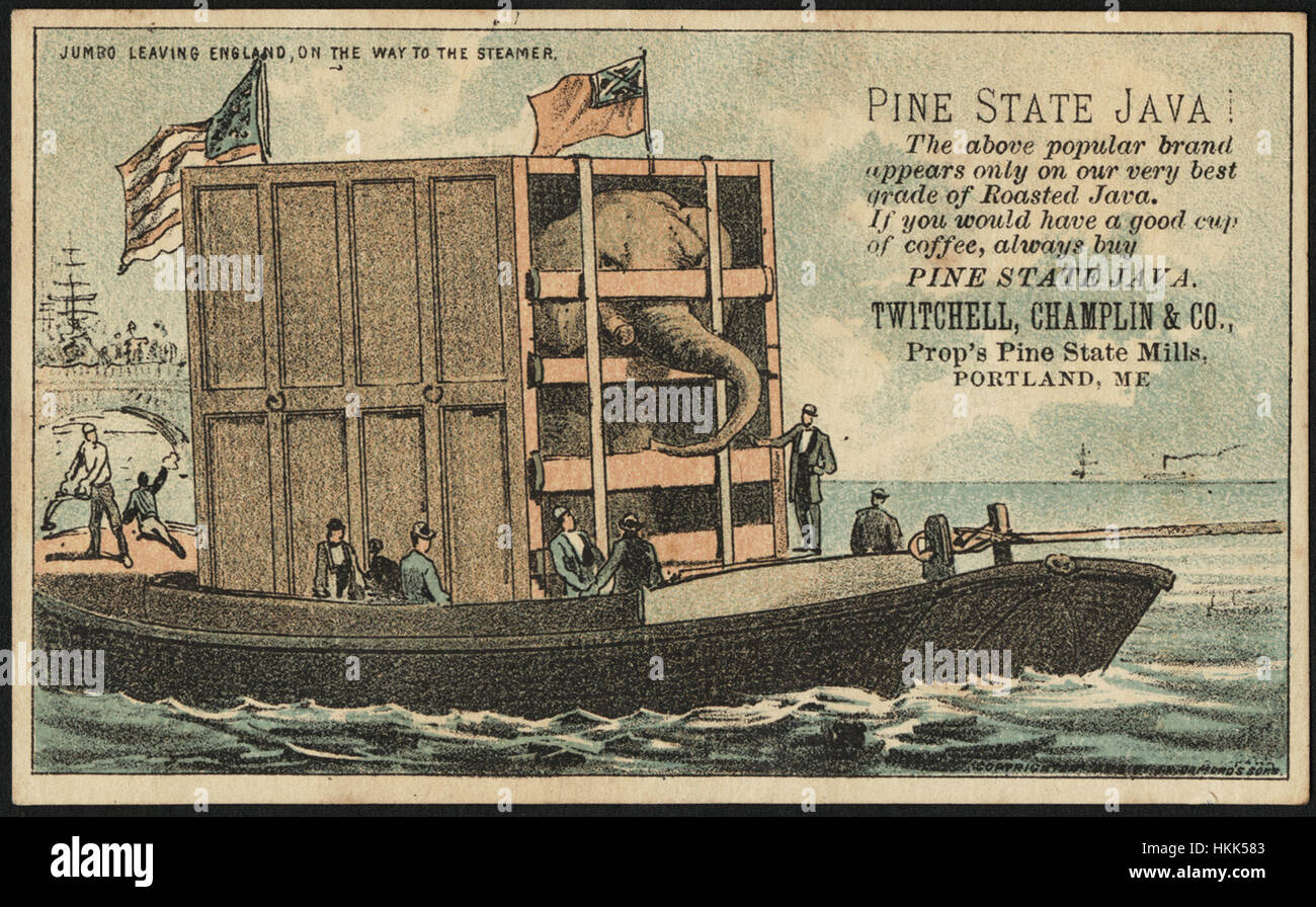 Jumbo leaving England on the way to the steamer. - Pine State Java ...