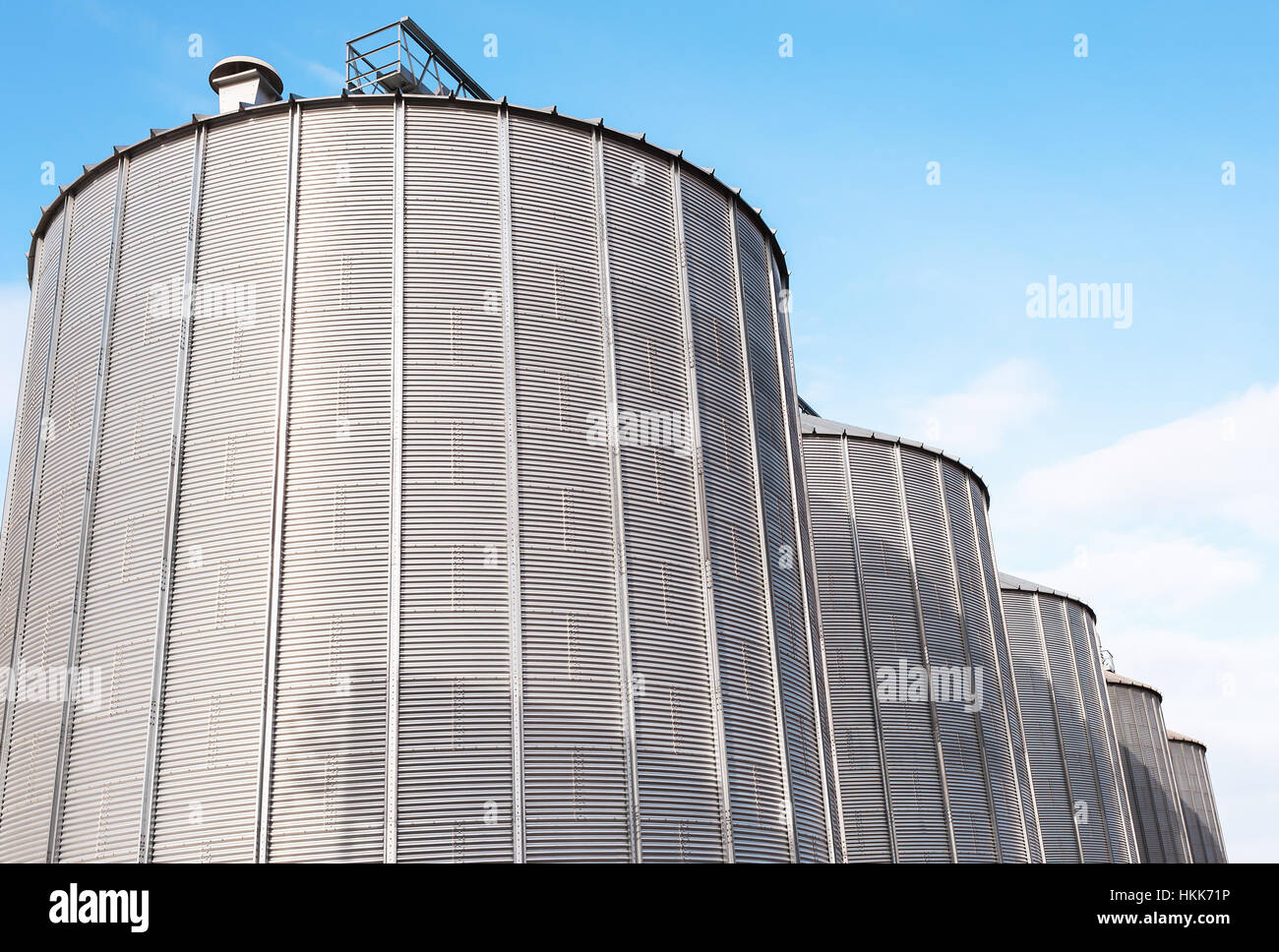 Agricultural Silos. Building Exterior. Storage and drying of grains ...