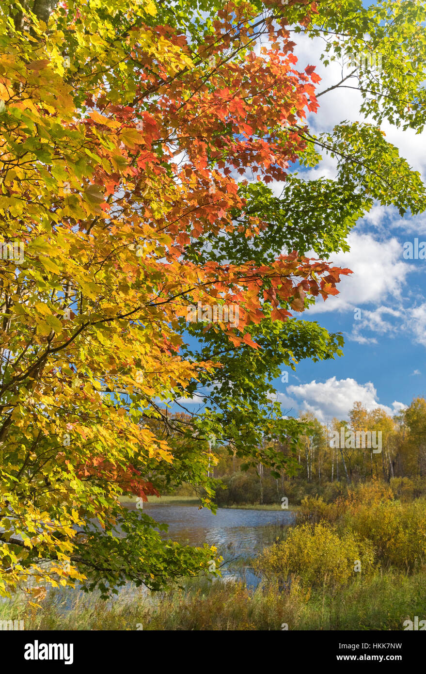 Autumn in northern Wisconsin Stock Photo - Alamy