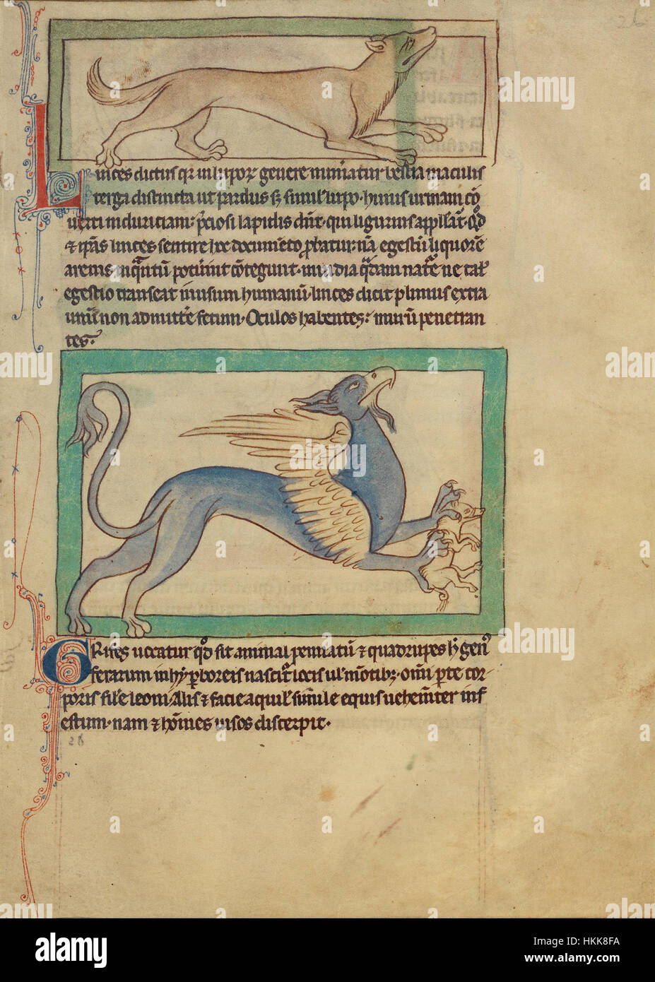 This artwork features a Lynx and a Griffin, two mythical creatures ...