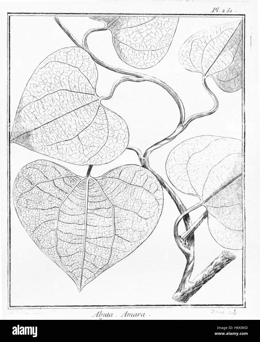 History of amara hi-res stock photography and images - Alamy