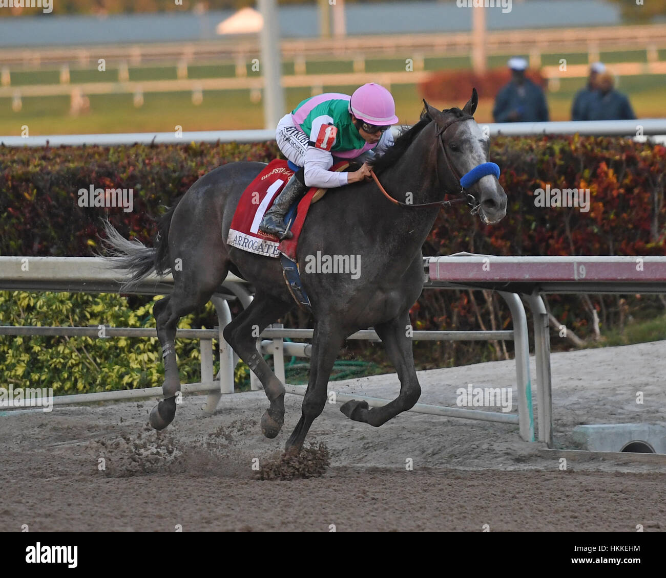 Arrogate hi-res stock photography and images - Alamy