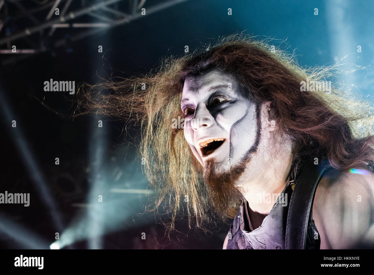 Greywolf hi-res stock photography and images - Alamy