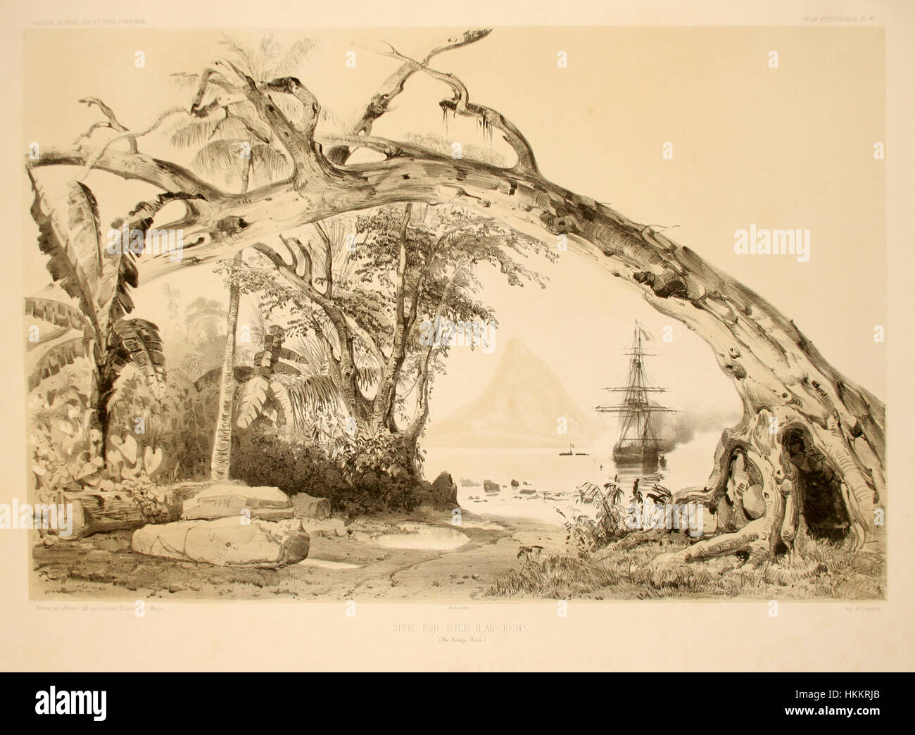 Artwork features detailed illustration hi-res stock photography and ...