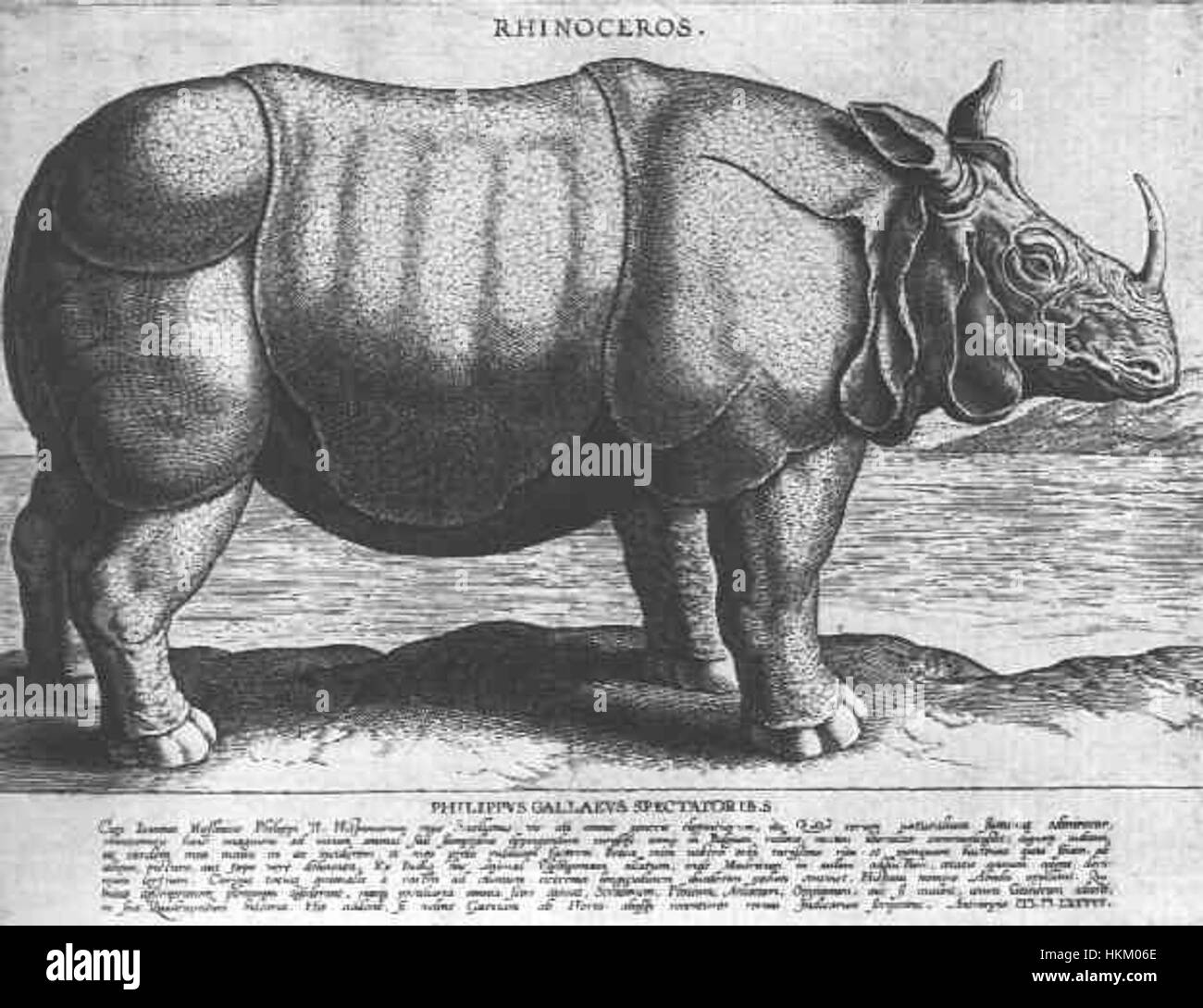*Abada the Rhinoceros* is an artistic representation of the rare and ...