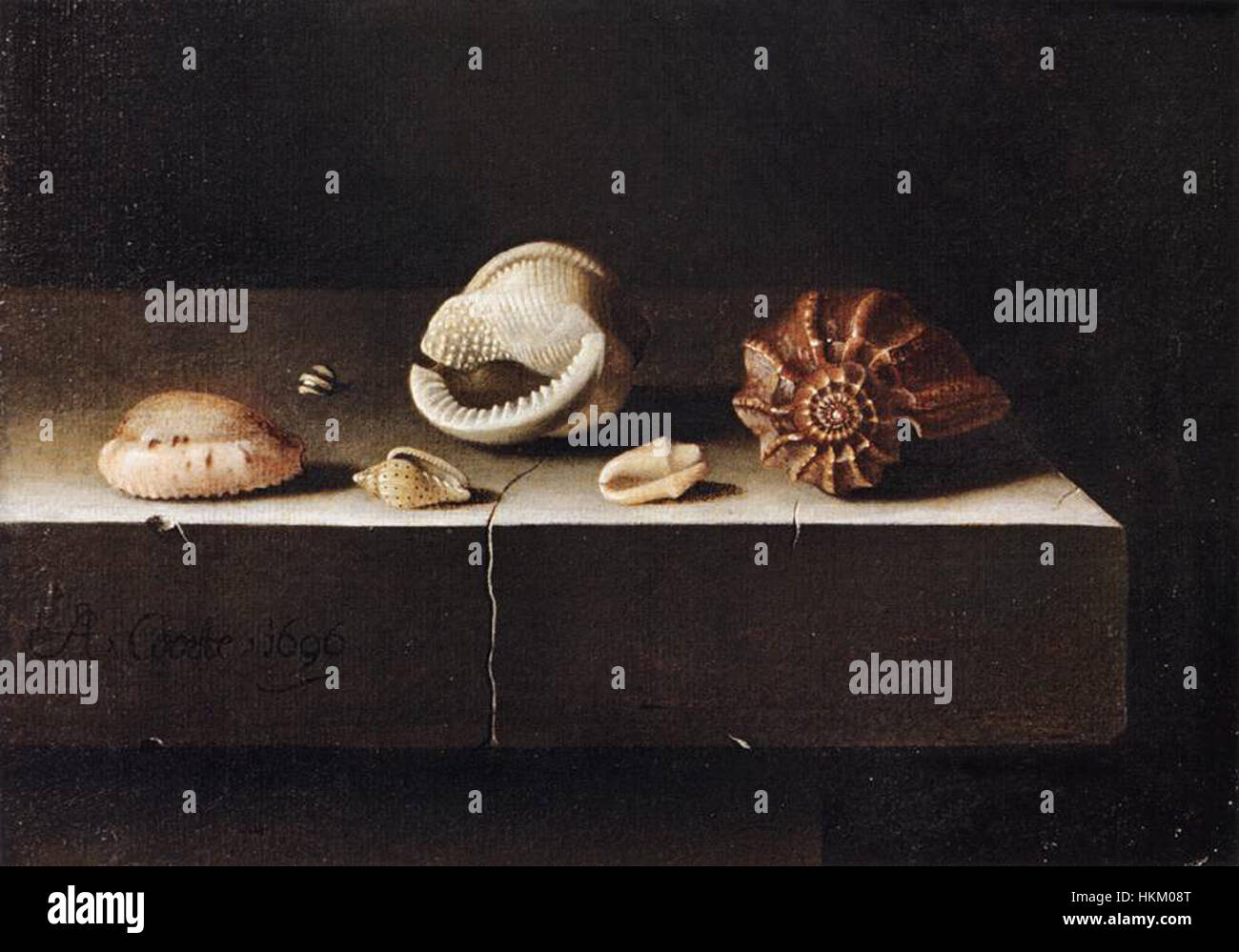 A still life painting by Adriaen Coorte, featuring five shells arranged ...