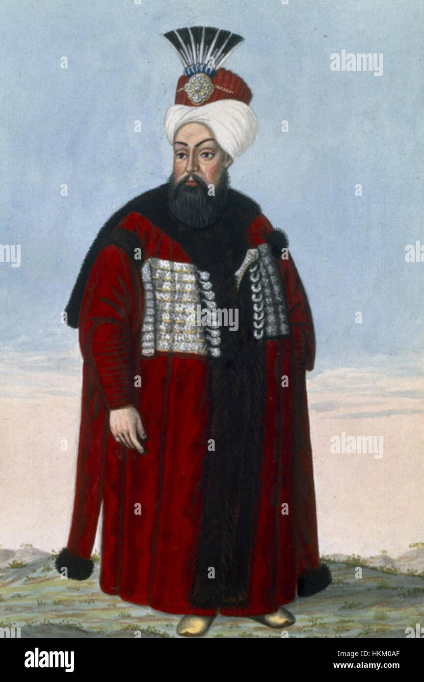 This portrait of Sultan Ahmed II, painted by John Young, portrays the ...