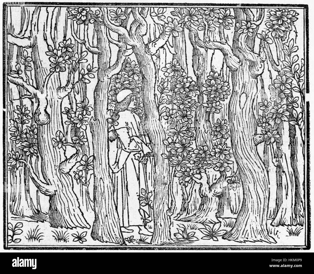 Renaissance forest art Black and White Stock Photos & Images - Alamy