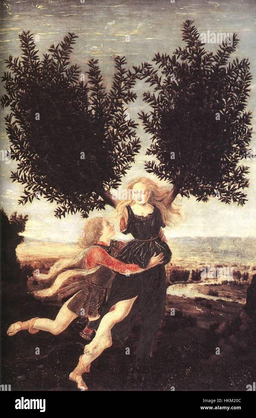 Antonio del Pollaiolo's 'Apollo and Daphne' depicts the mythological ...