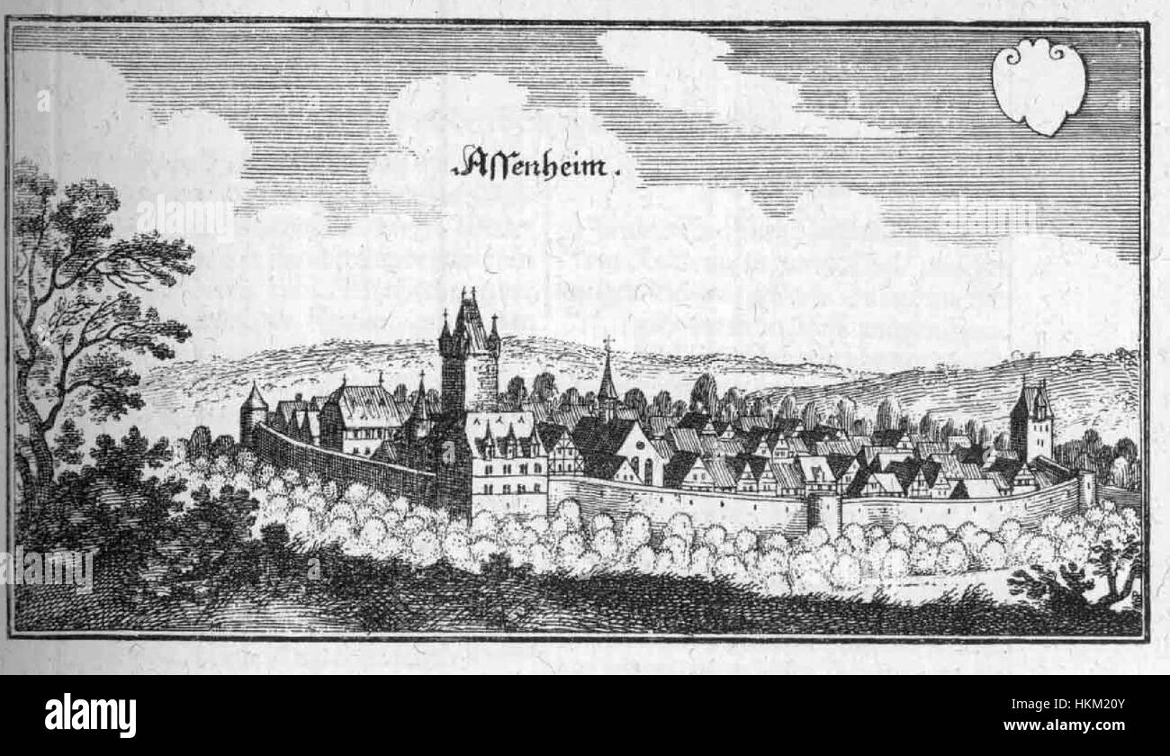 The *Assenheim* painting by Merian depicts a detailed view of a ...