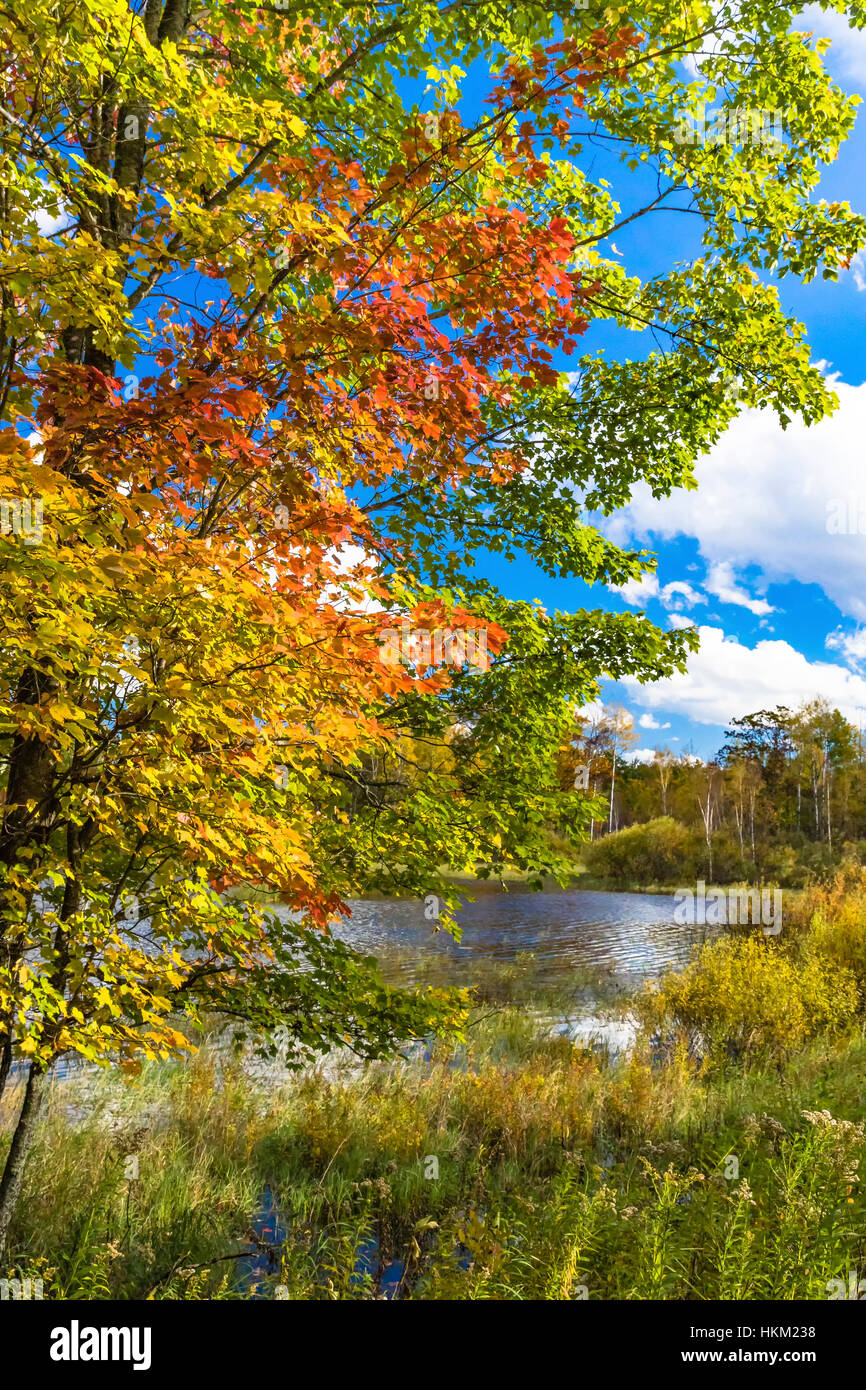 Early autumn landscape hi-res stock photography and images - Alamy