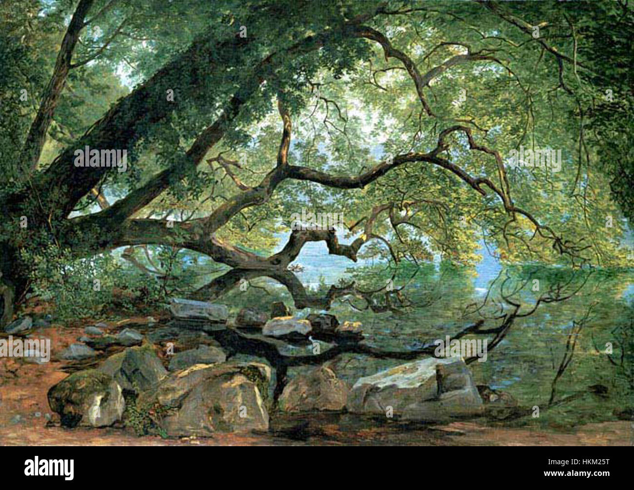 An Ilex Tree on Lake Albano, Italy 1846 John F Kensett Stock Photo - Alamy