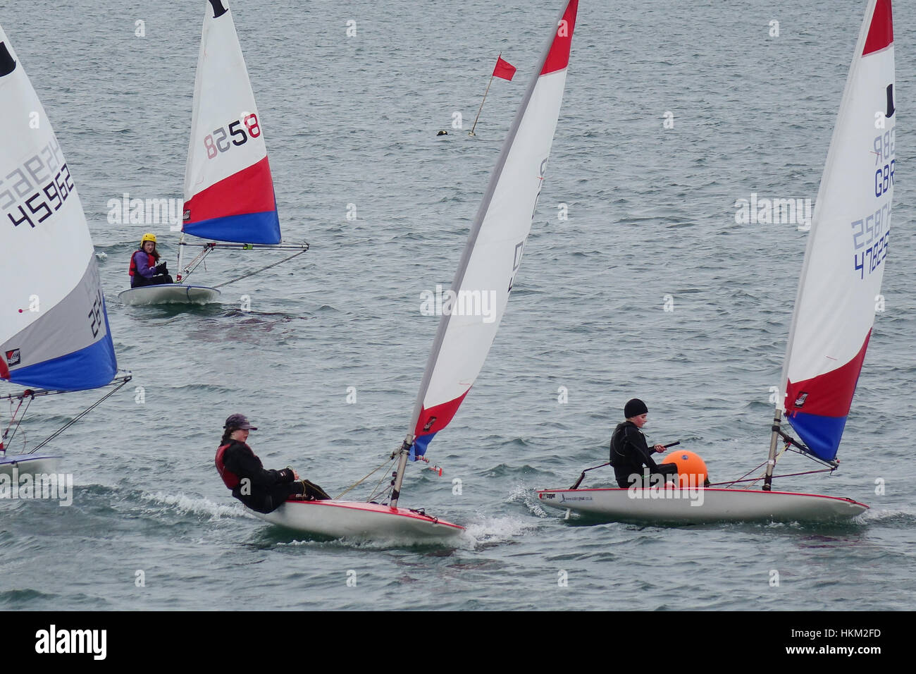 Topper Sailing Dinghies during Race Training at North Berwick Stock ...