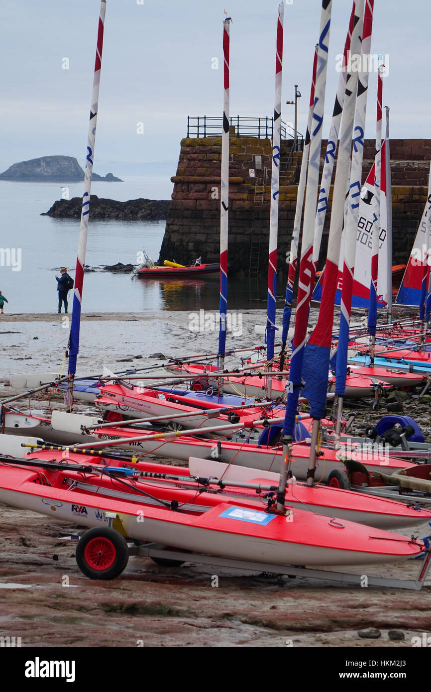Topper Sailing Dingies at the Harbour, North Berwick Stock Photo - Alamy