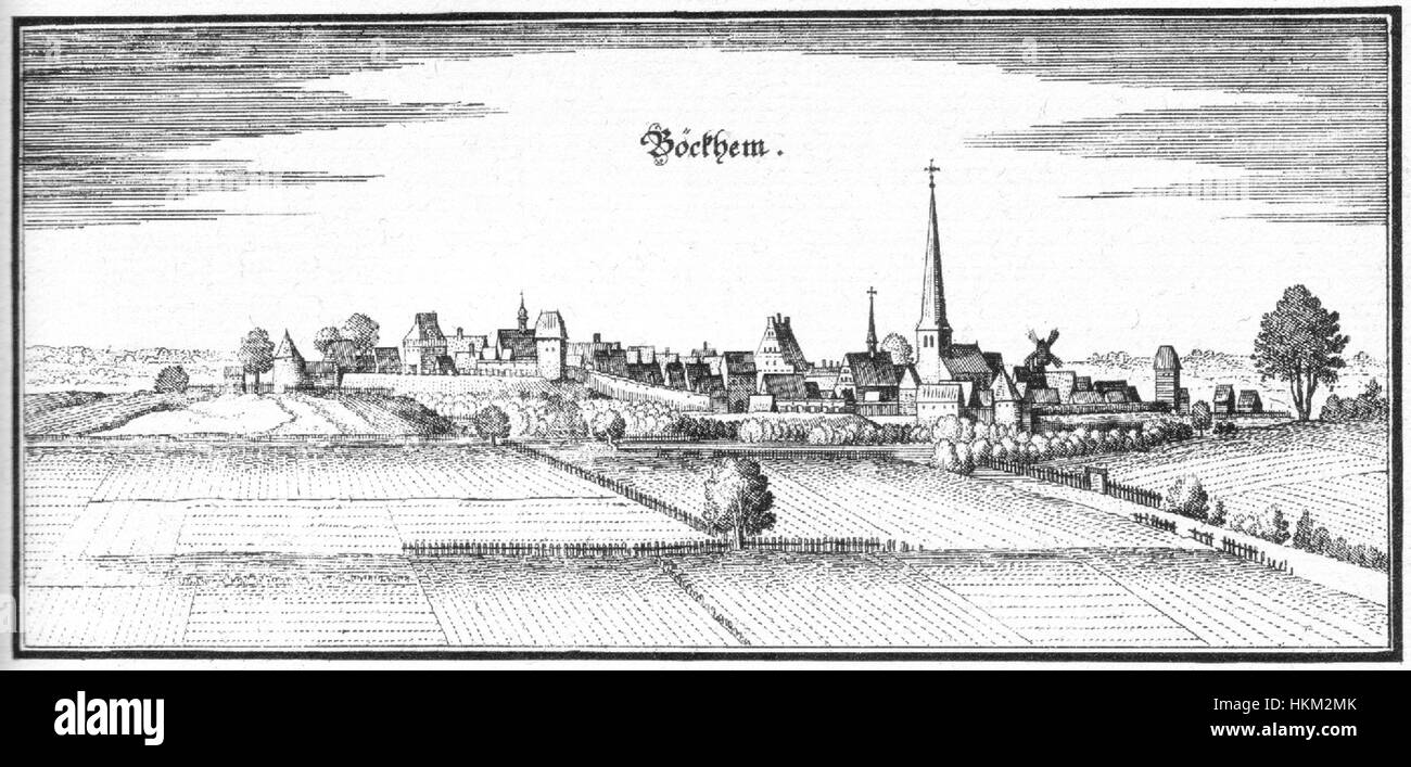 An intricate copperplate engraving by Merian, known for its detailed ...