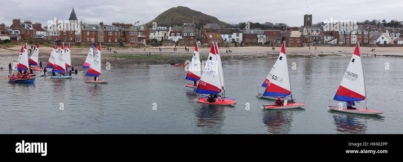 Topper Sailing Dinghies at sail training day Stock Photo - Alamy