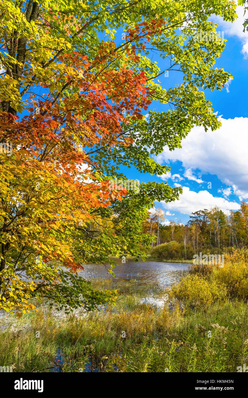 Us fall scenery hi-res stock photography and images - Alamy