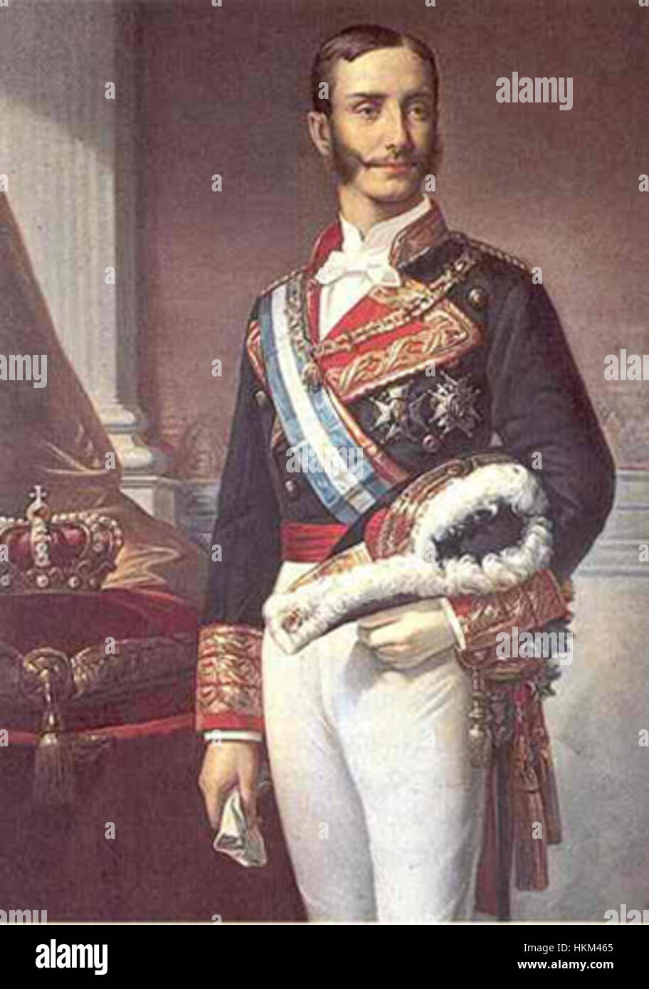 This portrait of King Alfonso XII of Spain captures the regal demeanor ...