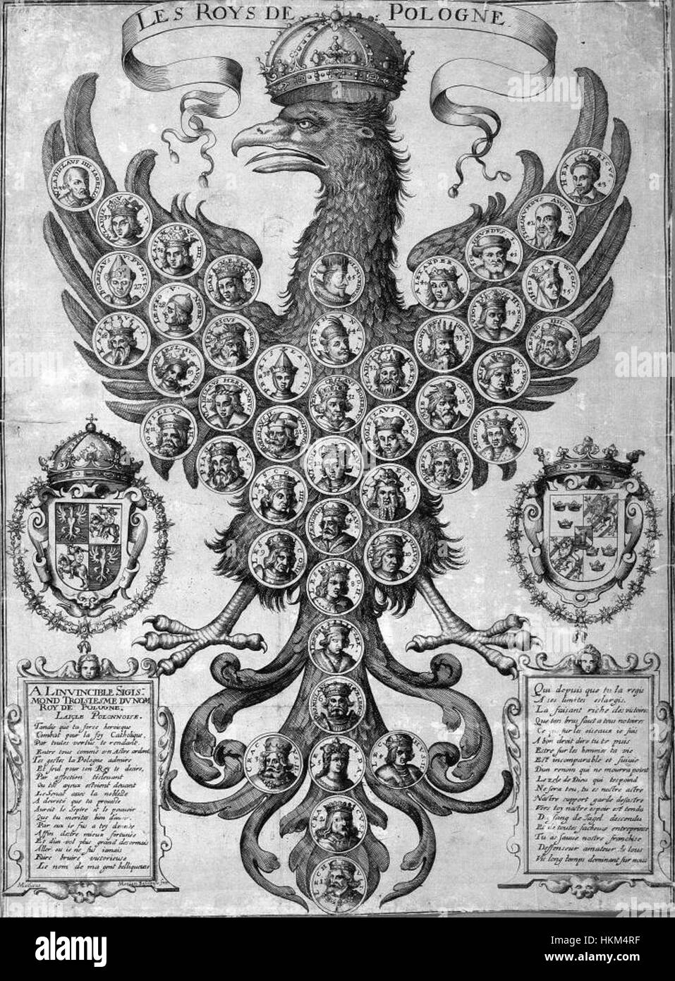 Monarchs lineage hi-res stock photography and images - Alamy