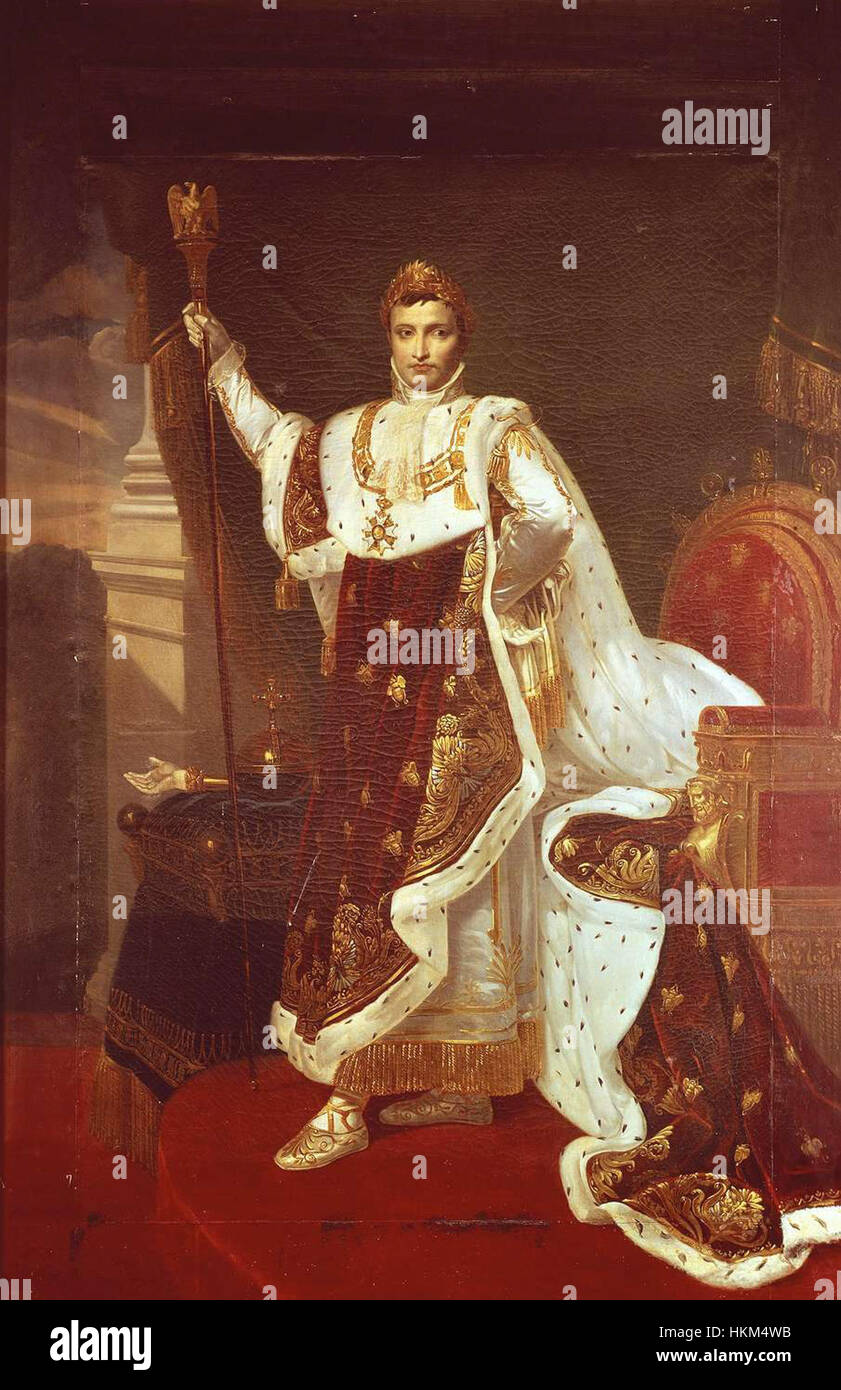This portrait of Napoleon I captures the iconic figure of the French ...