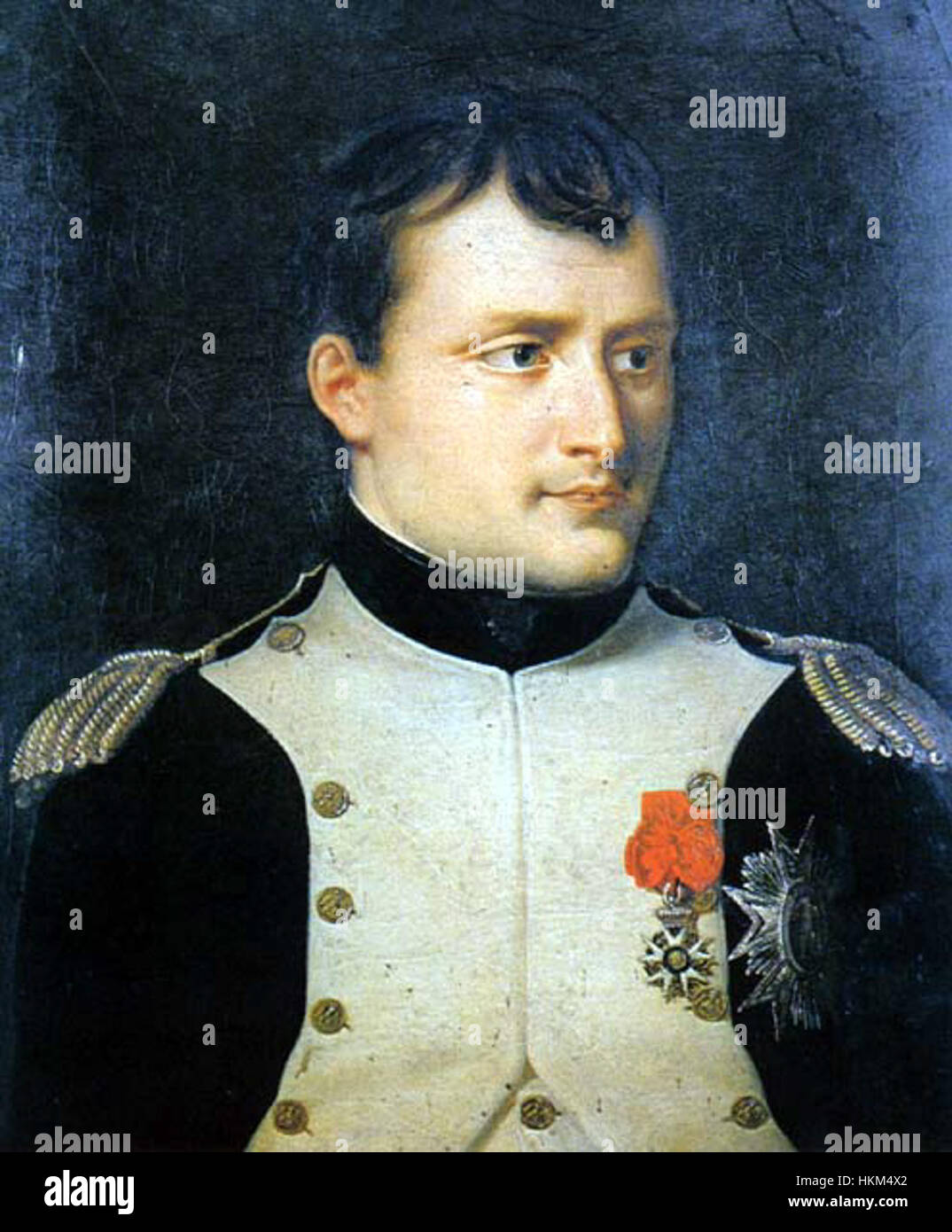 This historical portrait of Napoleon Bonaparte captures the defining ...