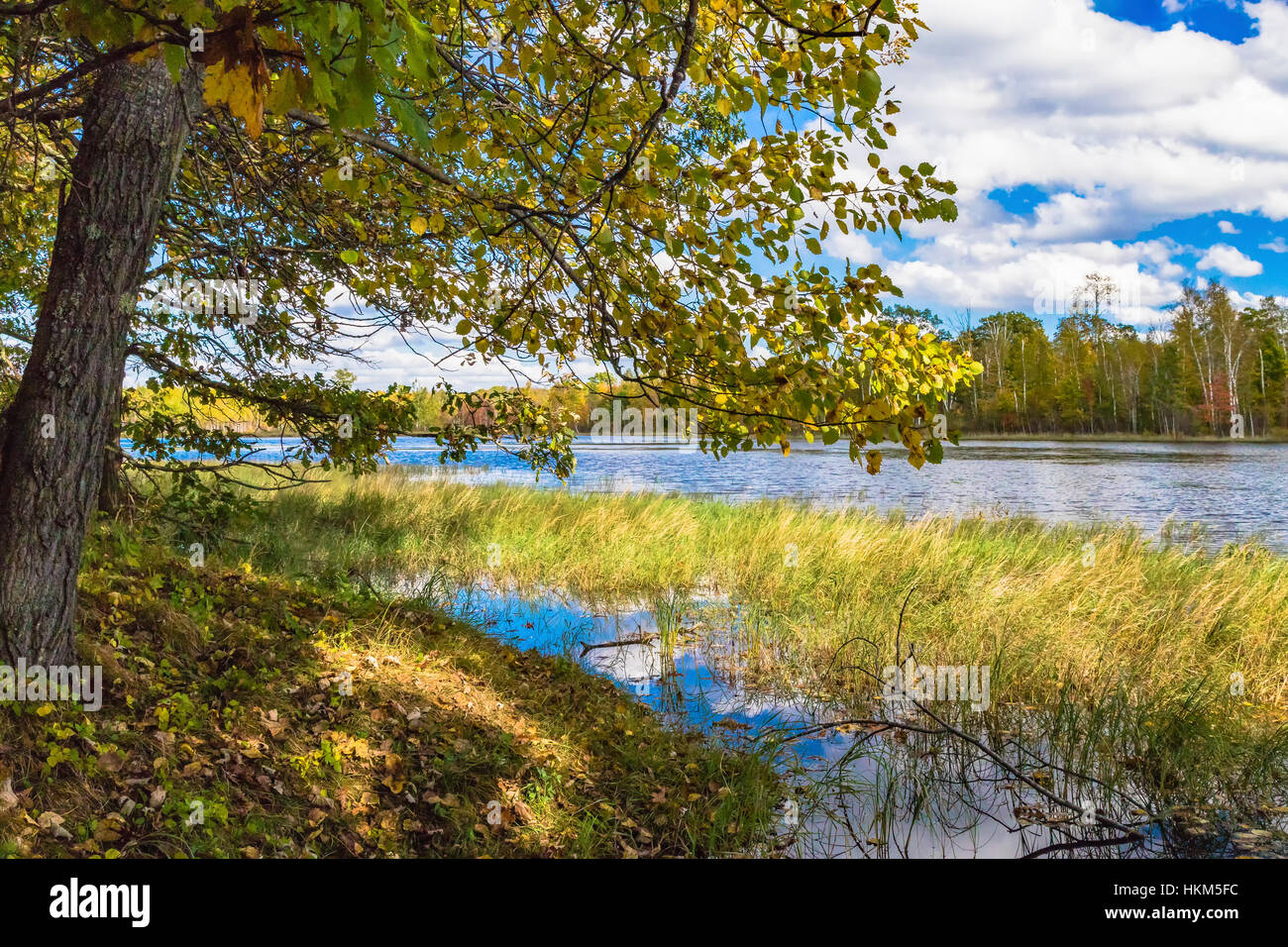 Wilderness lake in northern Wisconsin Stock Photo - Alamy