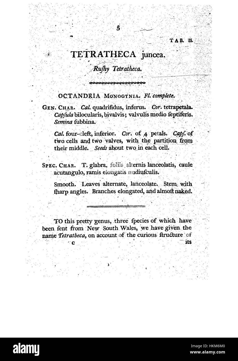 Important work in botanical Black and White Stock Photos & Images - Alamy