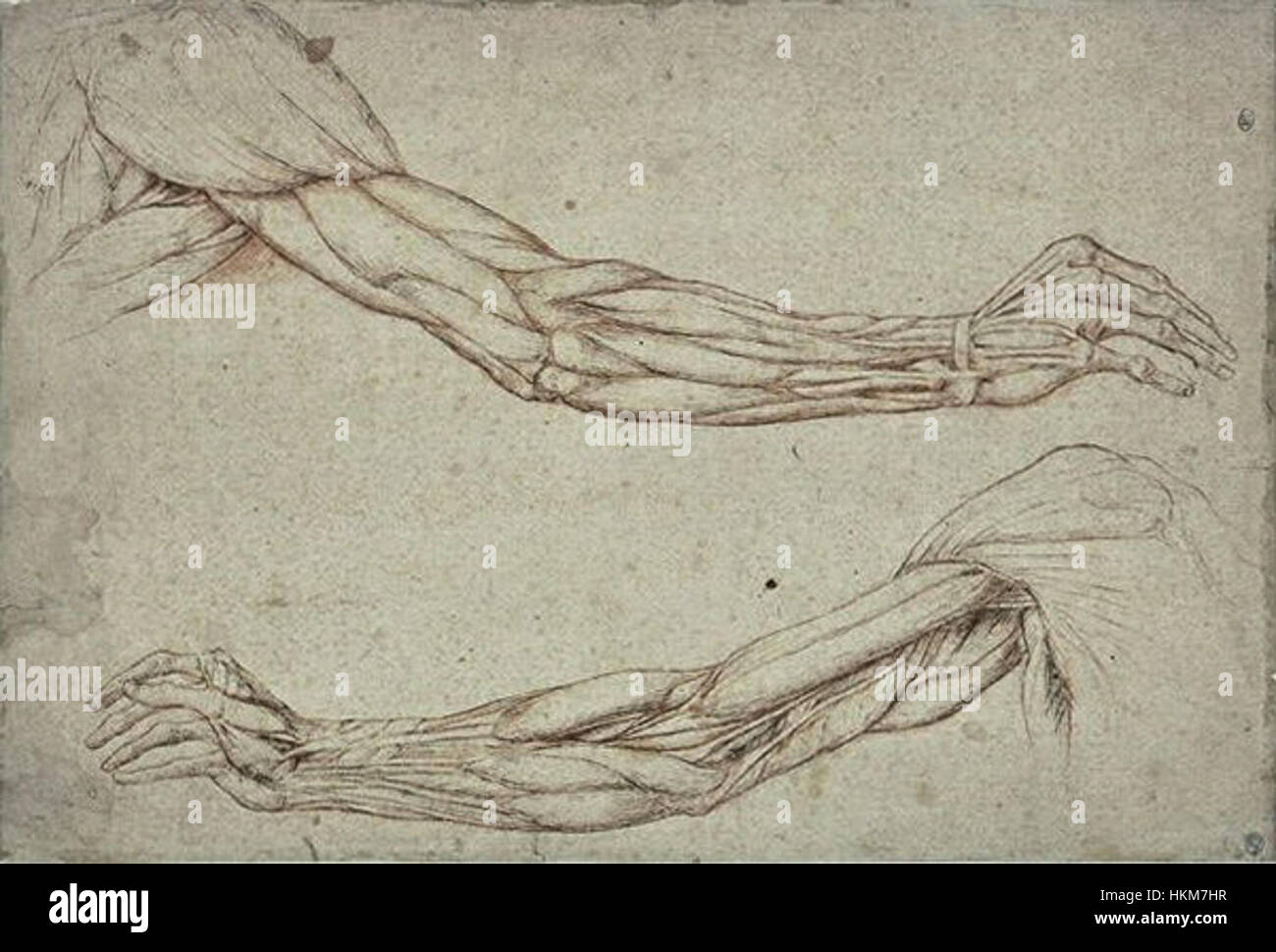 Florentine codex illustrations hi-res stock photography and images - Alamy