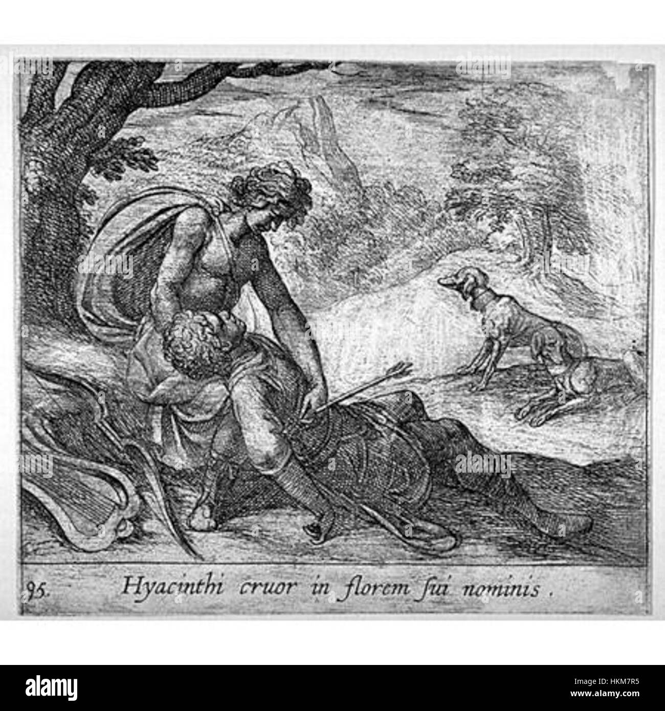 Historical flower symbolism Black and White Stock Photos & Images - Alamy